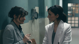 Fuchs im Bau | Heute.at